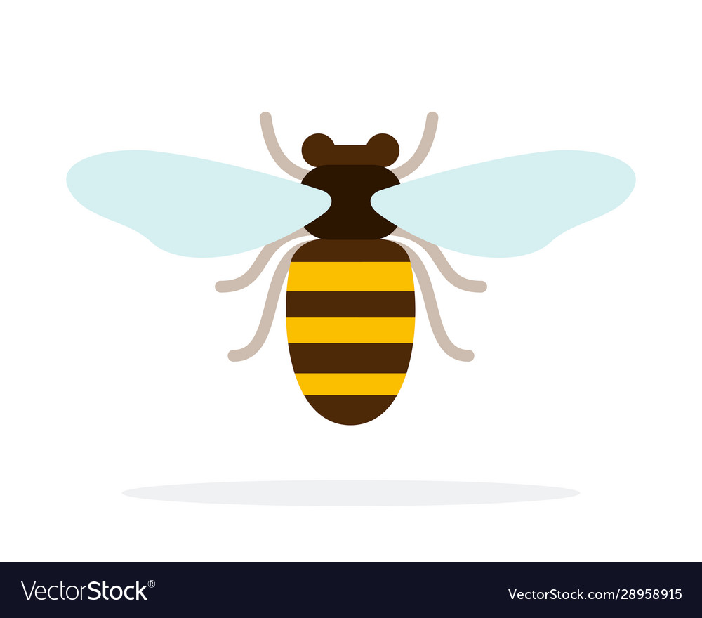 Bee front view flat isolated Royalty Free Vector Image