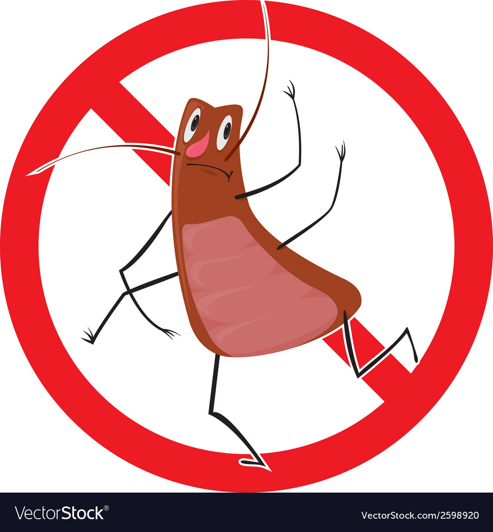 Cockroach Royalty Free Vector Image - VectorStock