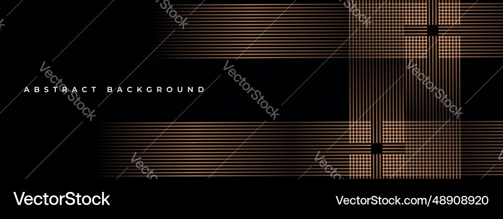 Dark luxury geometric wide abstract banner Vector Image
