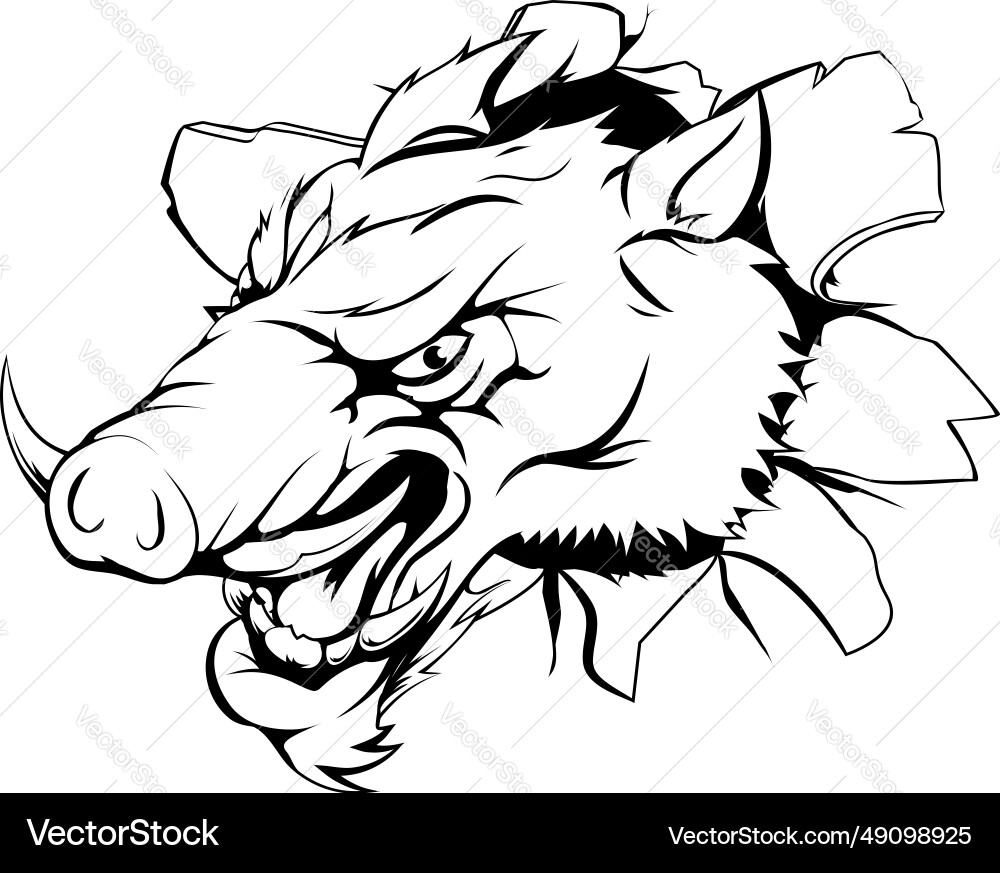 Boar ripping through background Royalty Free Vector Image