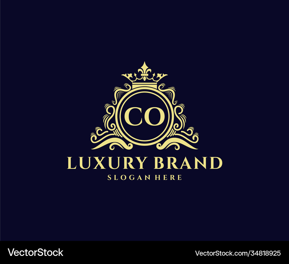 Co initial letter gold calligraphic feminine Vector Image