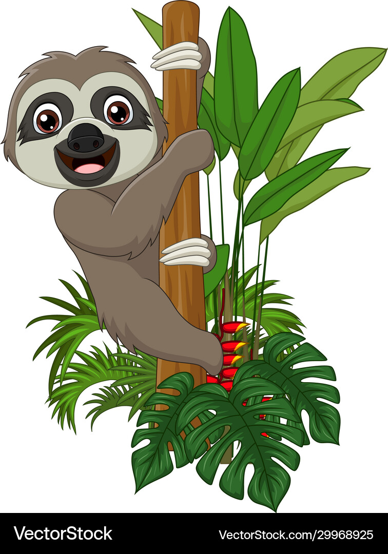 Cute baby sloth climbing on tree branch Royalty Free Vector
