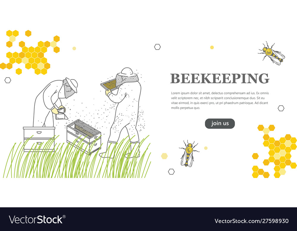 Beekeeping banner with modern line art Royalty Free Vector Beekeeping banner with modern line art Royalty Free Vector