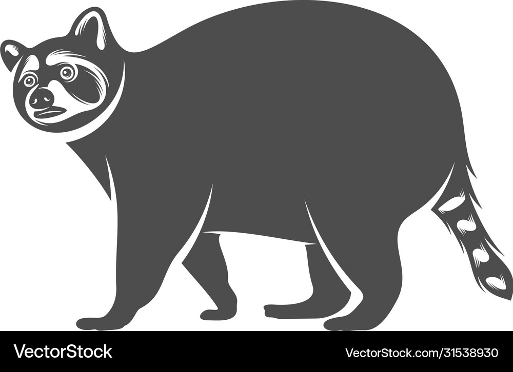 Racoon logo design icon symbol template Royalty Free Vector