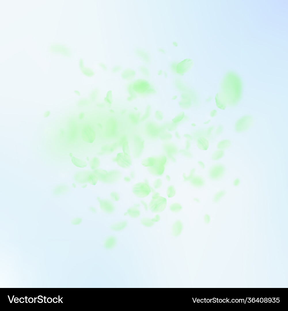 Green flower petals falling down ravishing romant Vector Image