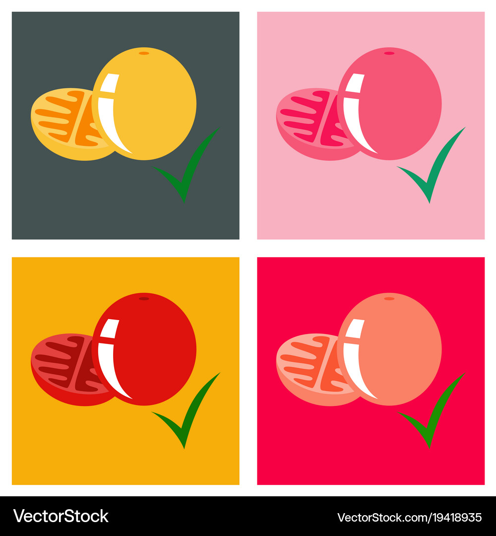 Set of flat tomato isolated on background Vector Image