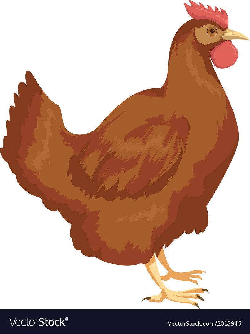 Chiken Royalty Free Vector Image - VectorStock