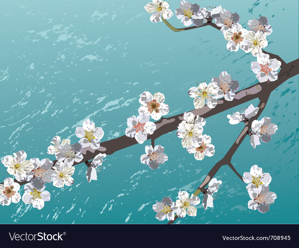 Sakura Royalty Free Vector Image - VectorStock