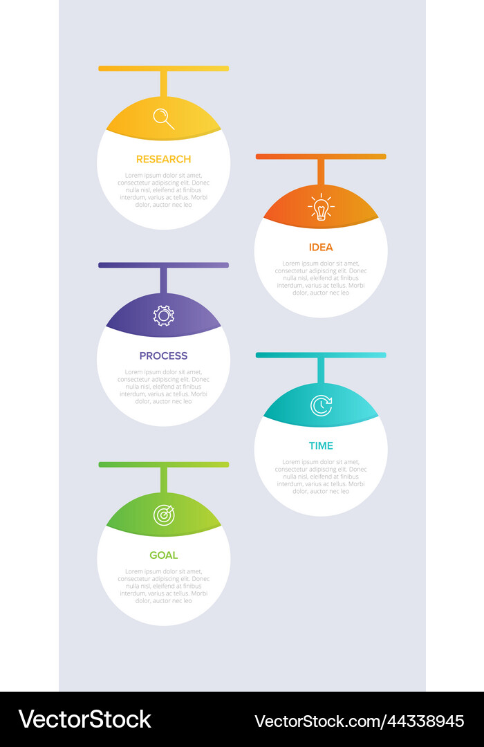 Vertical infographic design with icons and 5 Vector Image