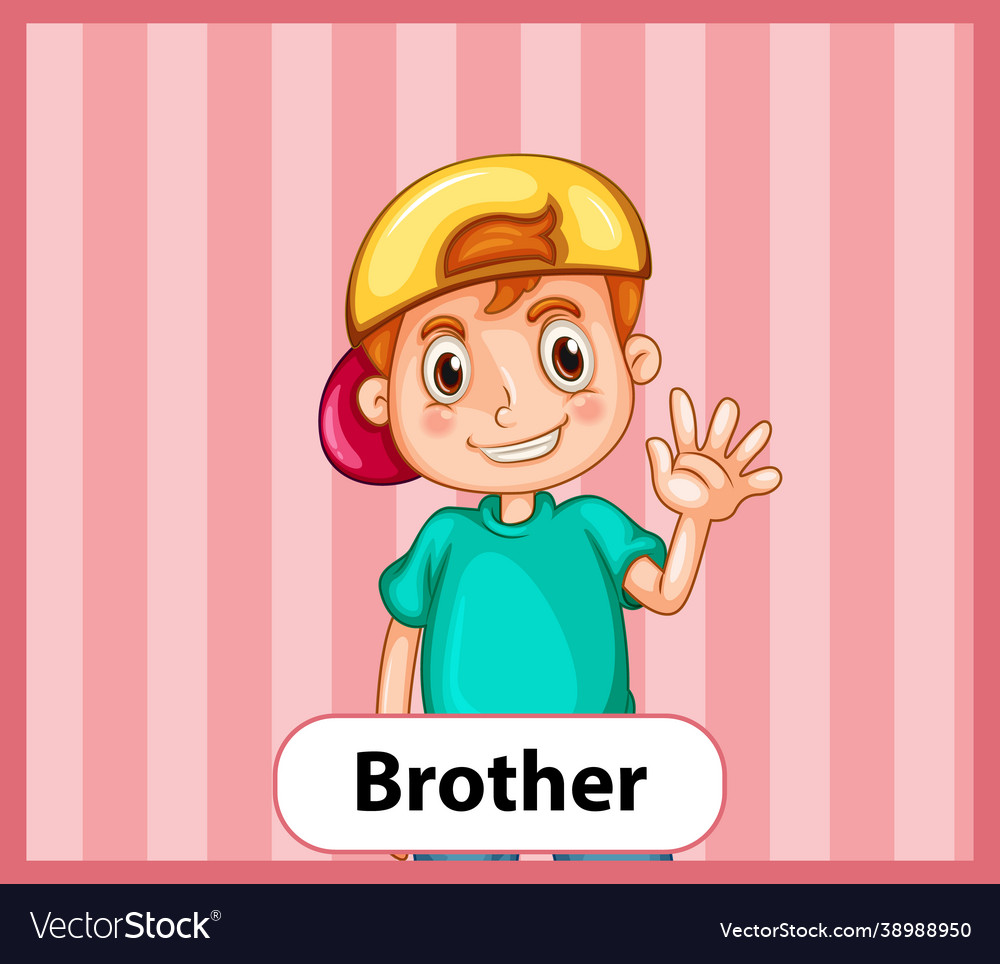 Educational English Word Card Brother Royalty Free Vector