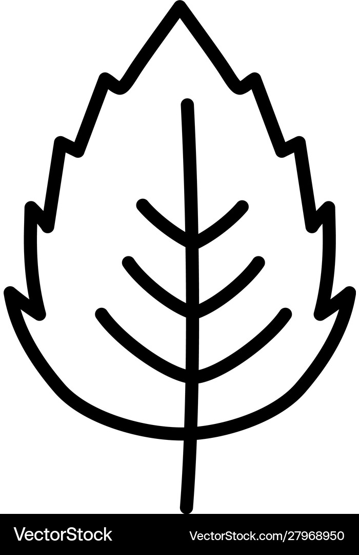 Leaf foliage nature on white background thick line