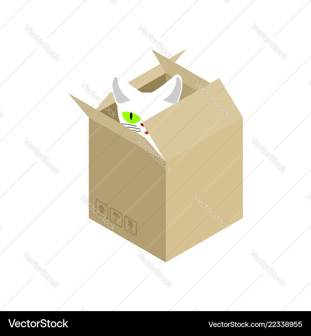 Cat in box isolated pet in cardboard box Vector Image