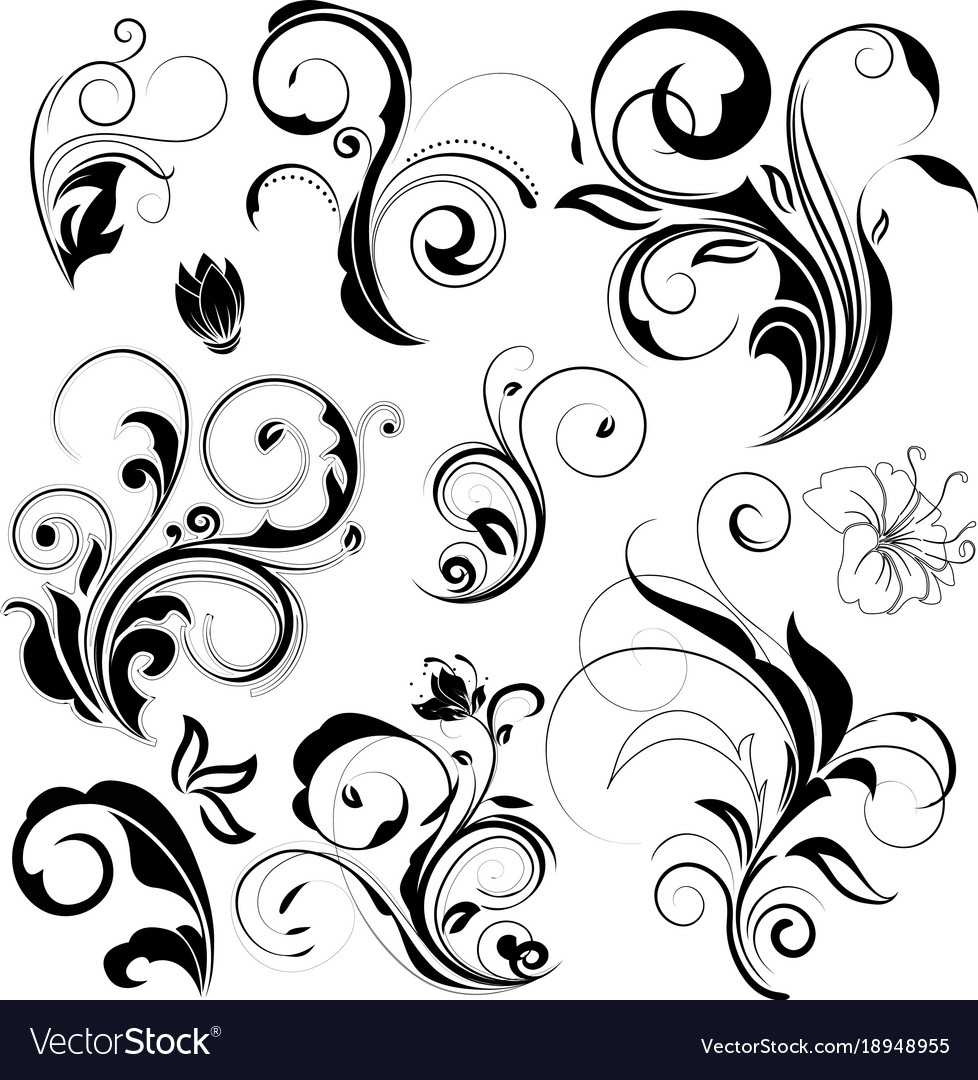 Floral elements Royalty Free Vector Image - VectorStock