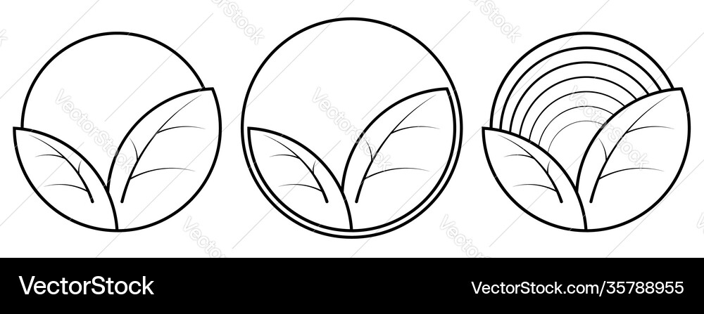 Set tea leaves icons in round tea packaging Vector Image