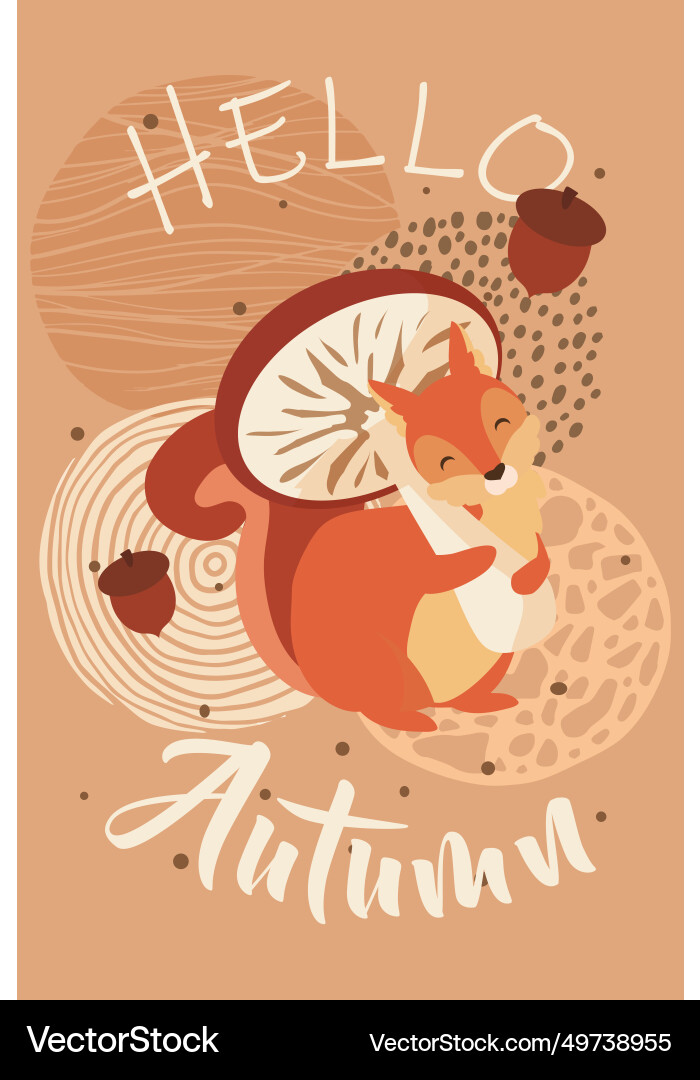 Squirrel hello autumn acorns and mushrooms Vector Image
