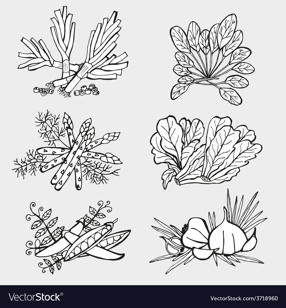 Vegetables set Royalty Free Vector Image - VectorStock