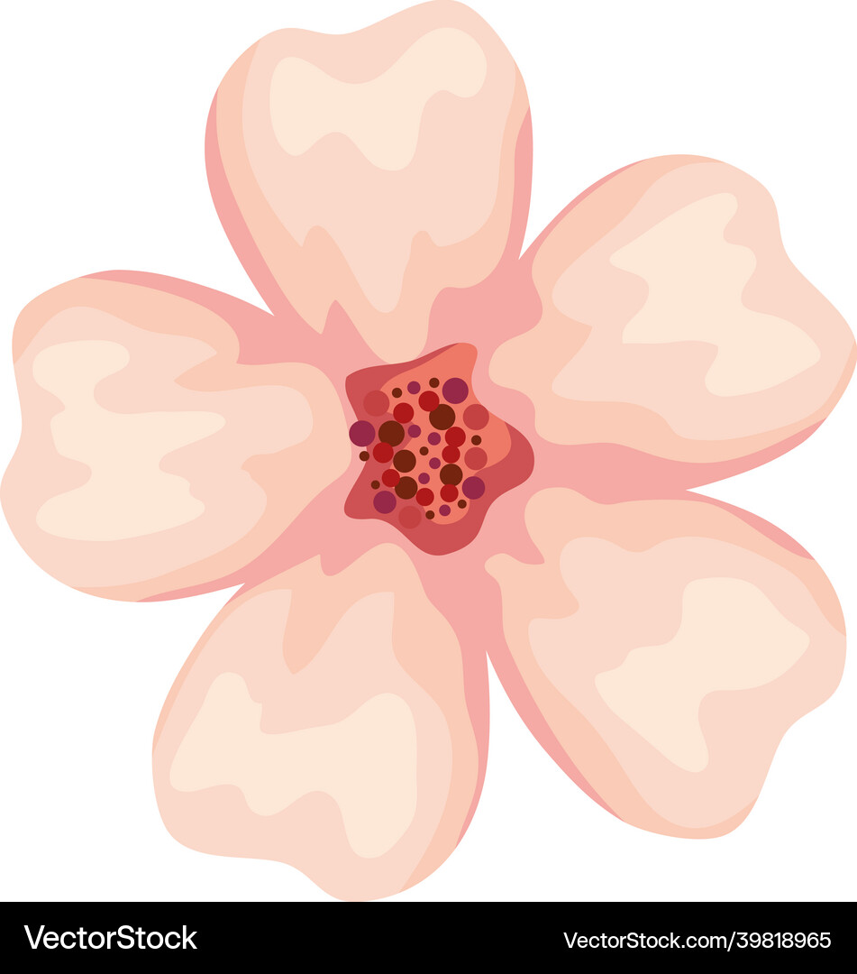 Beauty pink flower Royalty Free Vector Image - VectorStock