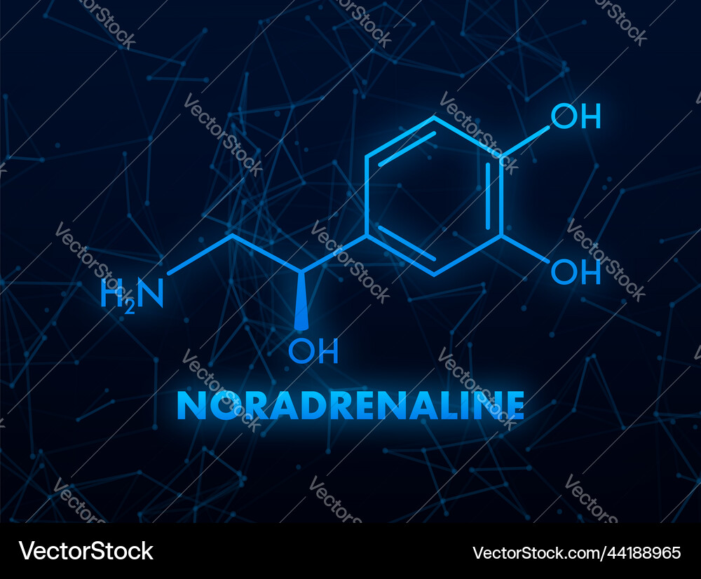 Noradrenaline concept chemical formula icon label Vector Image