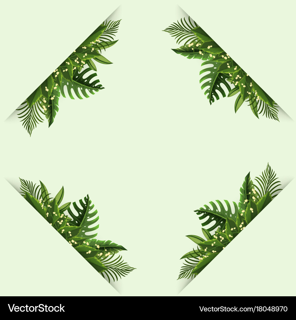 Border template with green ferns Royalty Free Vector Image