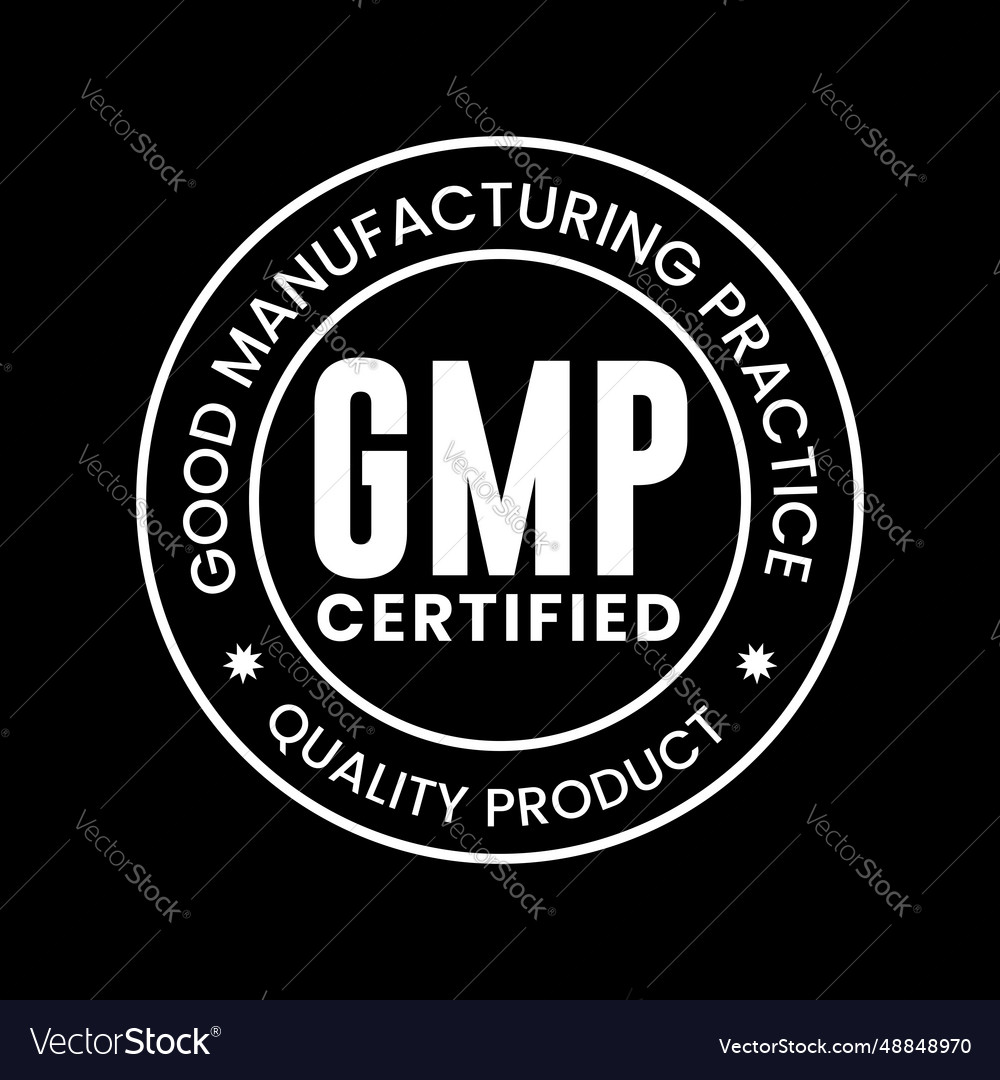 Gmp good manufacturing practice certified logo Vector Image