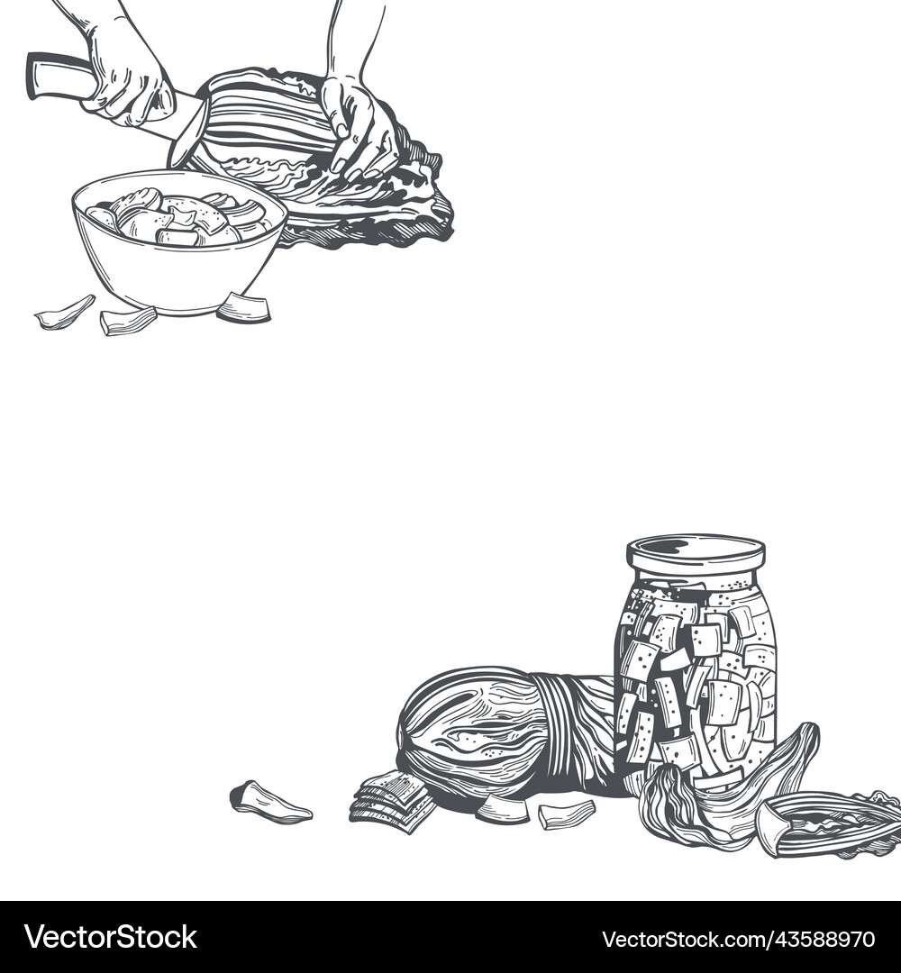 Kimchi korean cuisine background Royalty Free Vector Image