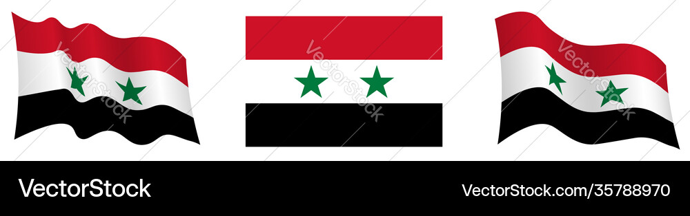 Syria flag in static position and in motion Vector Image