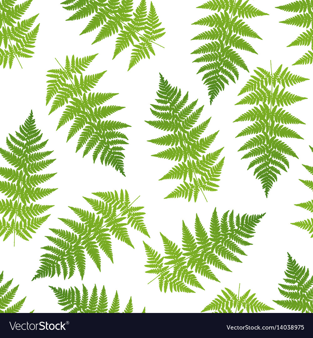 Fern seamless pattern Royalty Free Vector Image