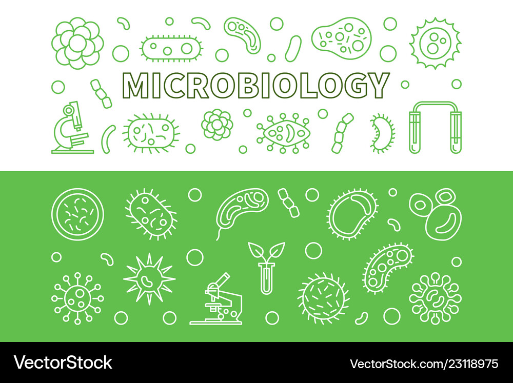 Microbiology green banners outline Royalty Free Vector Image