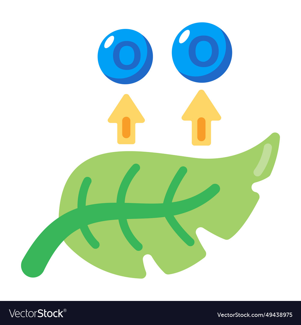 Plant oxygen Royalty Free Vector Image - VectorStock Plant oxygen Royalty Free Vector Image - VectorStock