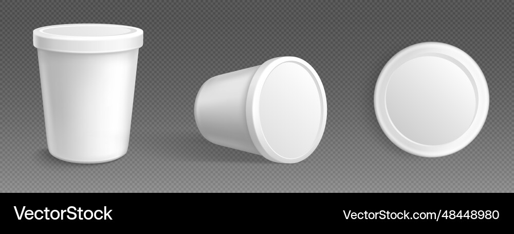 Plastic and paper ice cream tub container mockup Vector Image