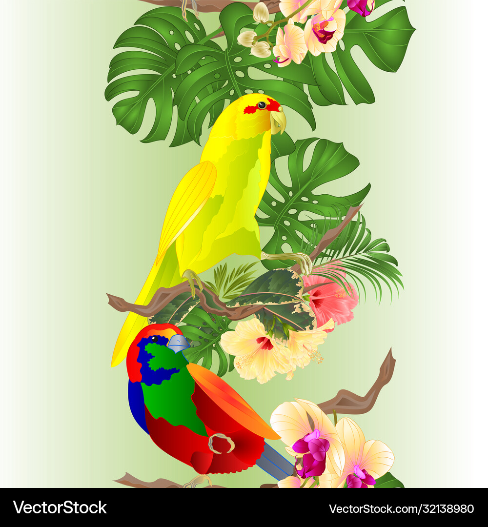 Vertical border seamless background tropical bird Vector Image