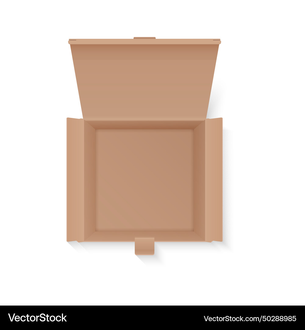 Cardboard box of square shape with open lid empty Vector Image