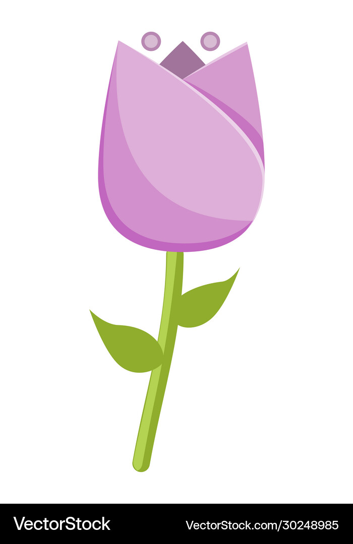 Floral with stylized tulip flower isolated Vector Image