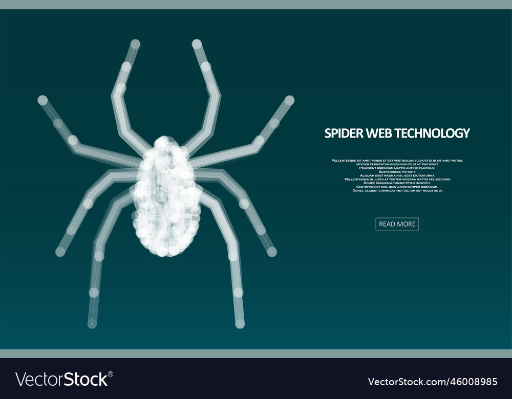 Spider hacker attack danger Royalty Free Vector Image
