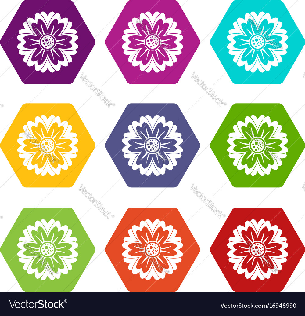 Flower icon set color hexahedron Royalty Free Vector Image