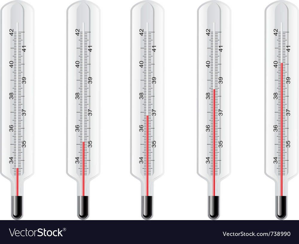 Thermometer Royalty Free Vector Image - VectorStock