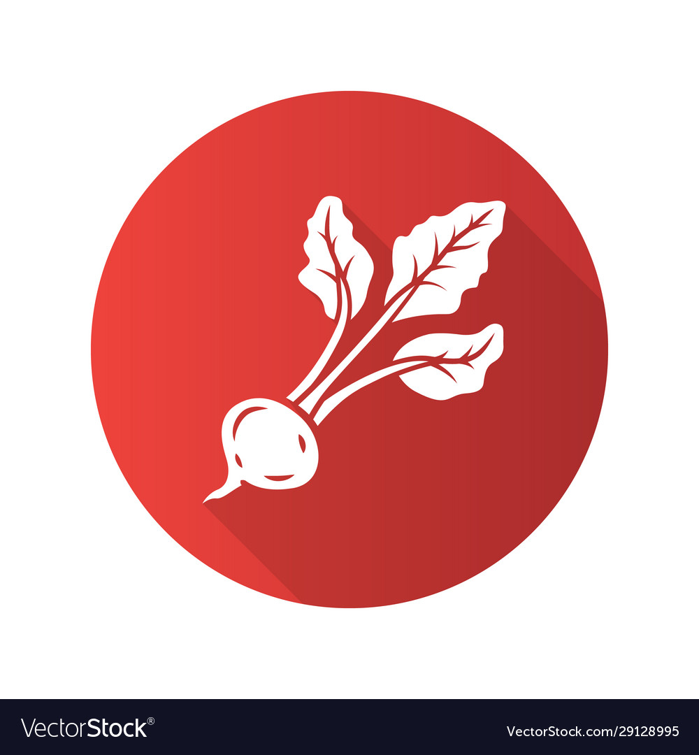 Radish flat design long shadow glyph icon Vector Image Radish flat design long shadow glyph icon Vector Image