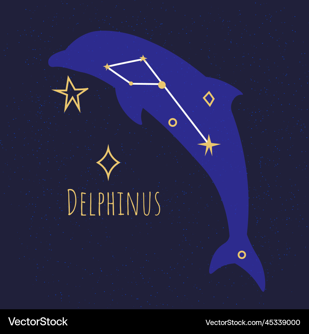Constellation of delphinus dolphin star shape Vector Image