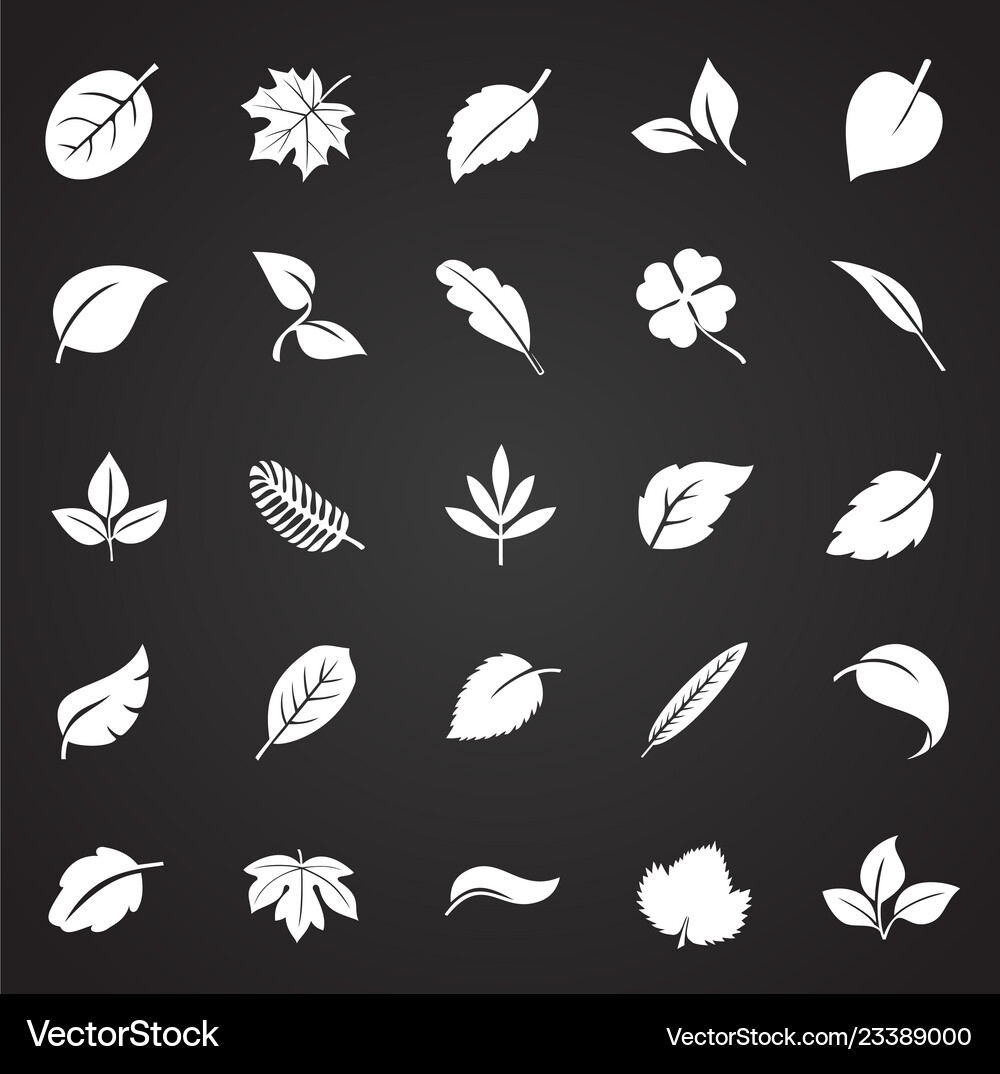 Leafs icon set on black background for graphic Vector Image