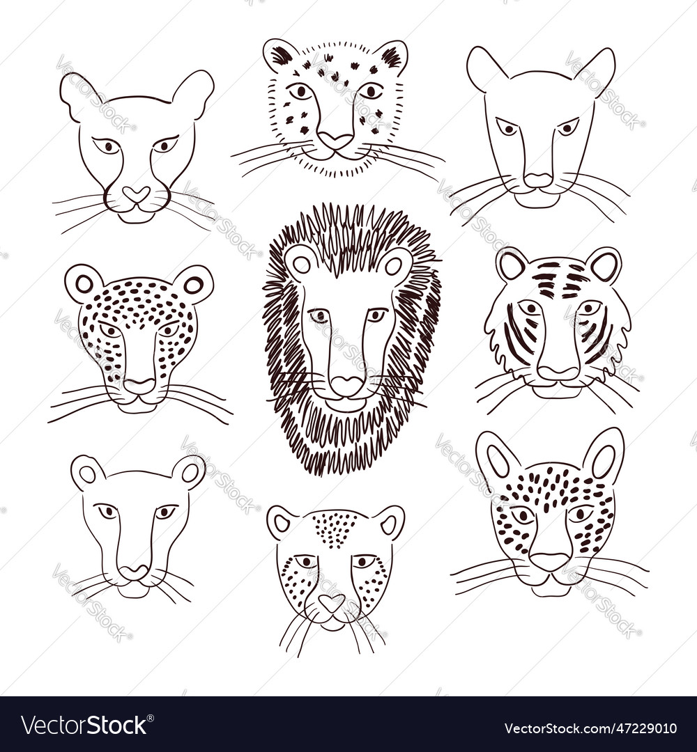 Big cats faces isolated collection black white Vector Image