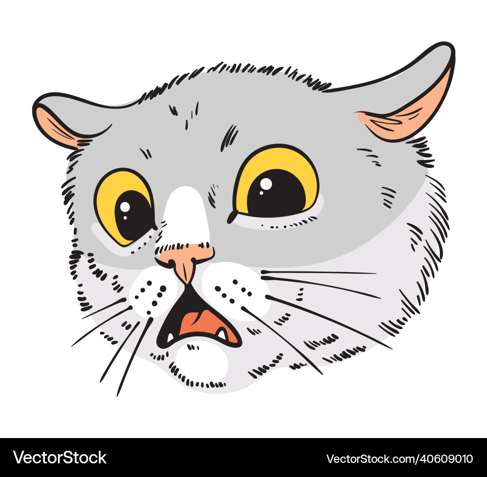 Crazy cat portrait drawing cartoon characters Vector Image
