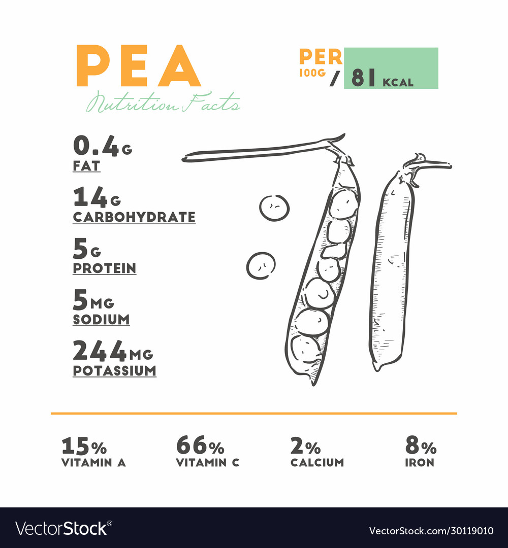 Green pea nutrition facts Royalty Free Vector Image