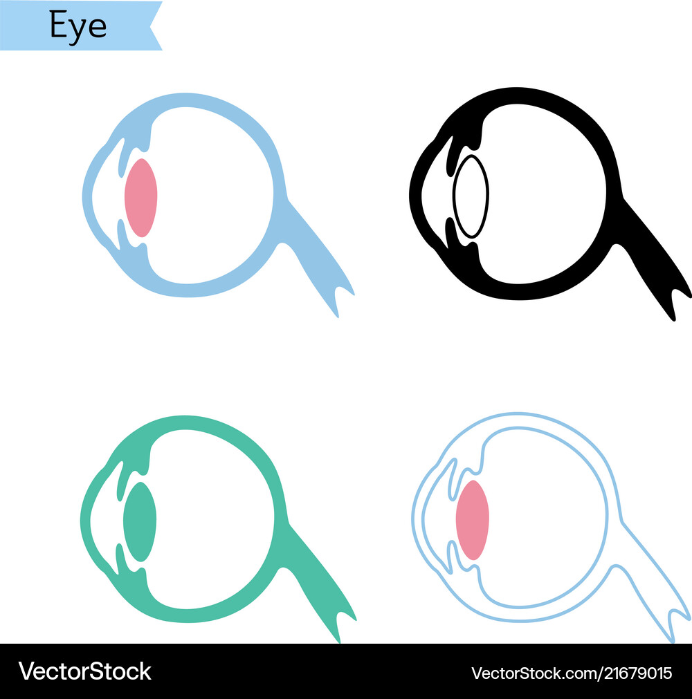 Isolated of eye Royalty Free Vector Image - VectorStock