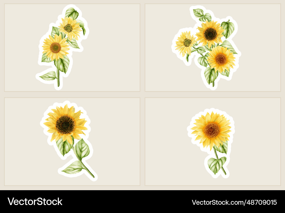 Watercolor sunflower sticker Royalty Free Vector Image