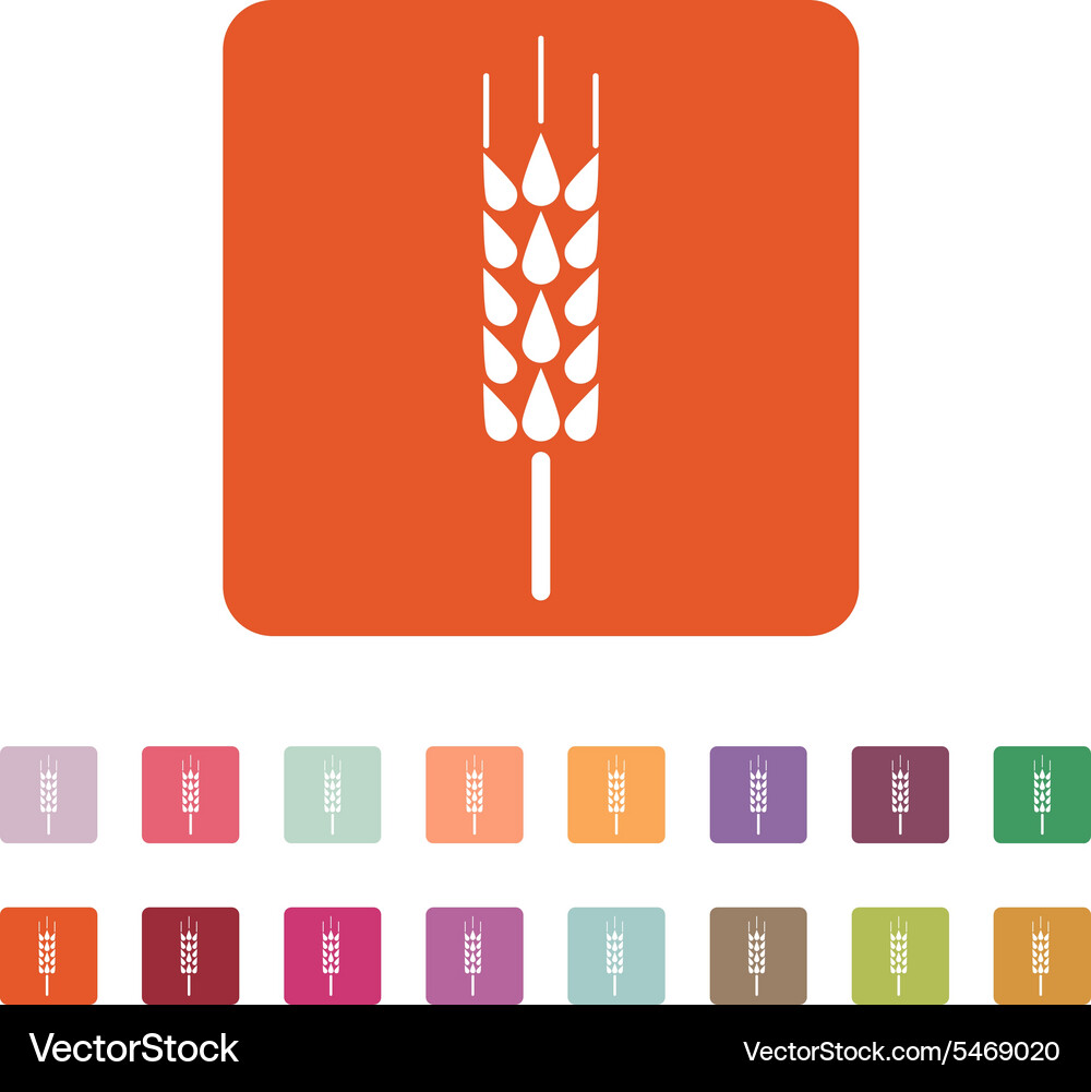 The spica icon Wheat symbol Flat Royalty Free Vector Image