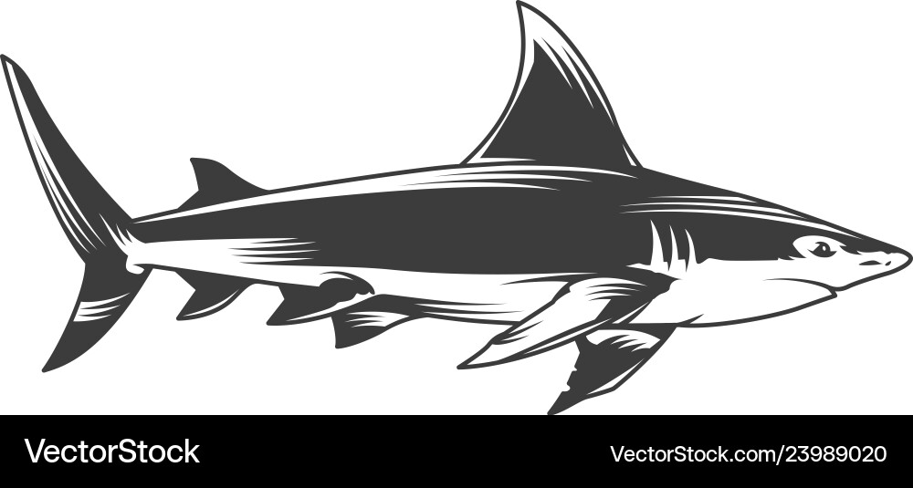 Vintage monochrome shark side view concept Vector Image