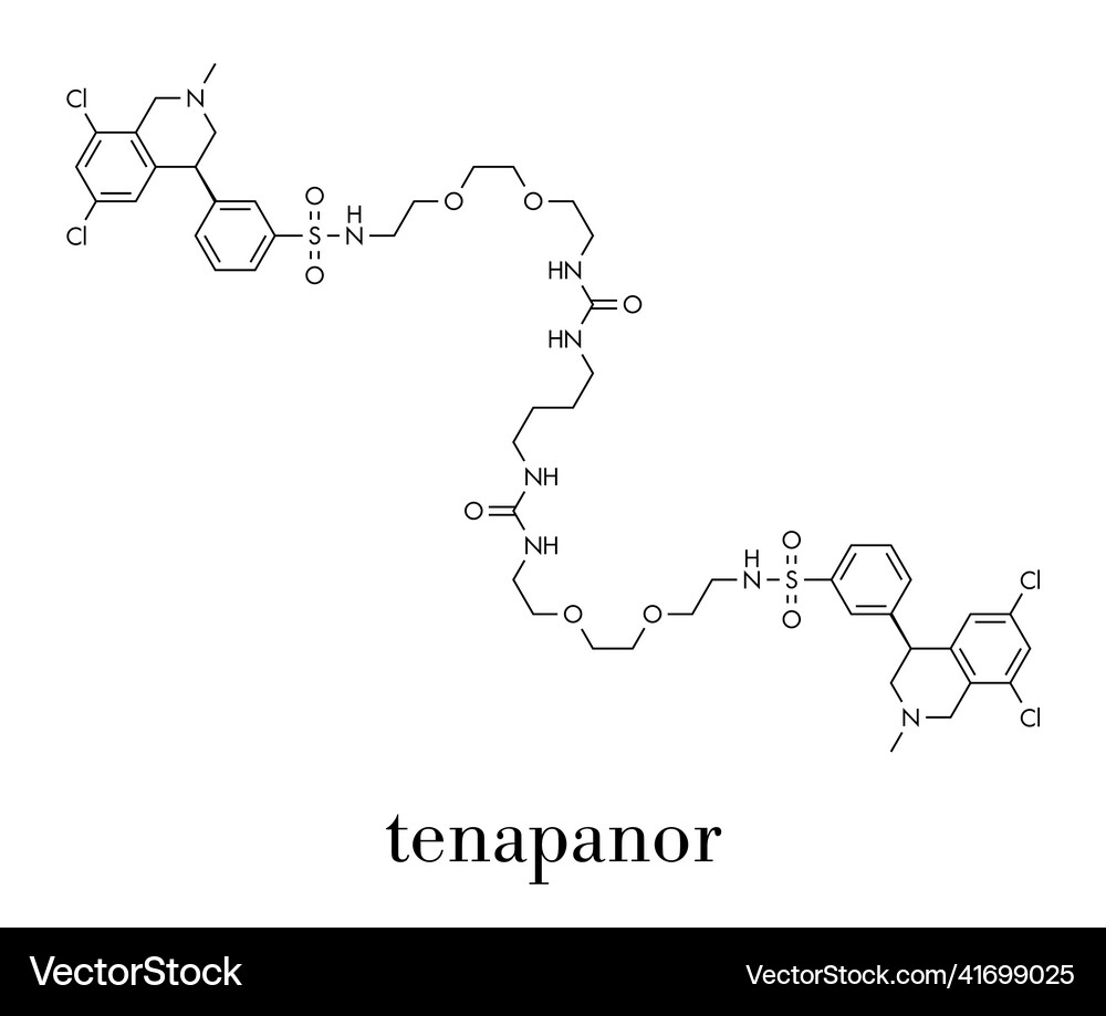 Tenapanor drug molecule skeletal formula Vector Image