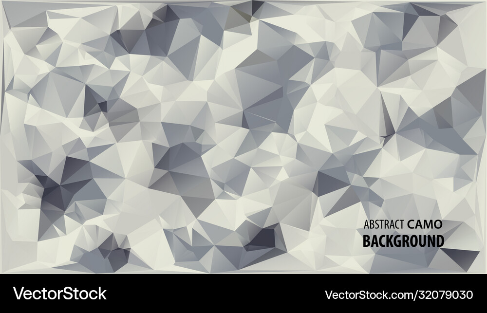 Abstract military camouflage background made Vector Image