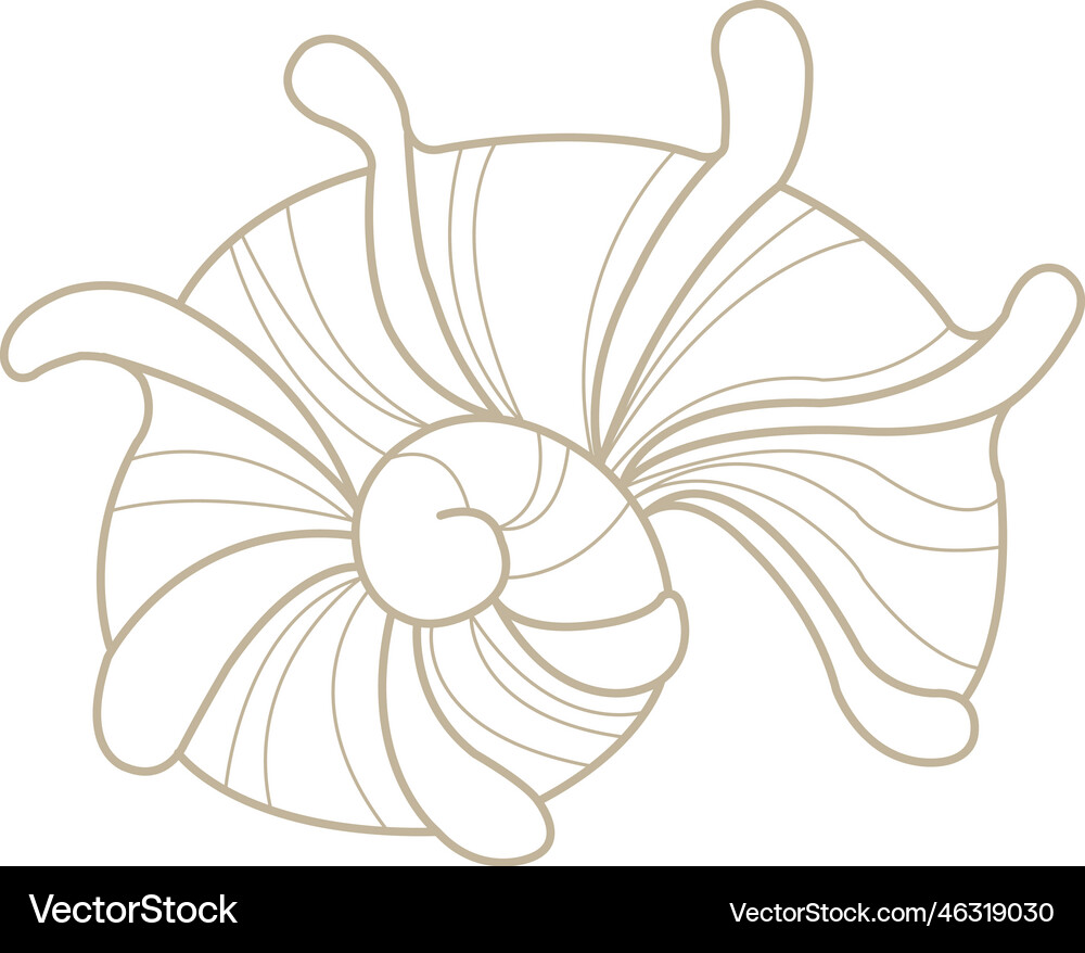 Seashell doodle for decoration on marine life Vector Image