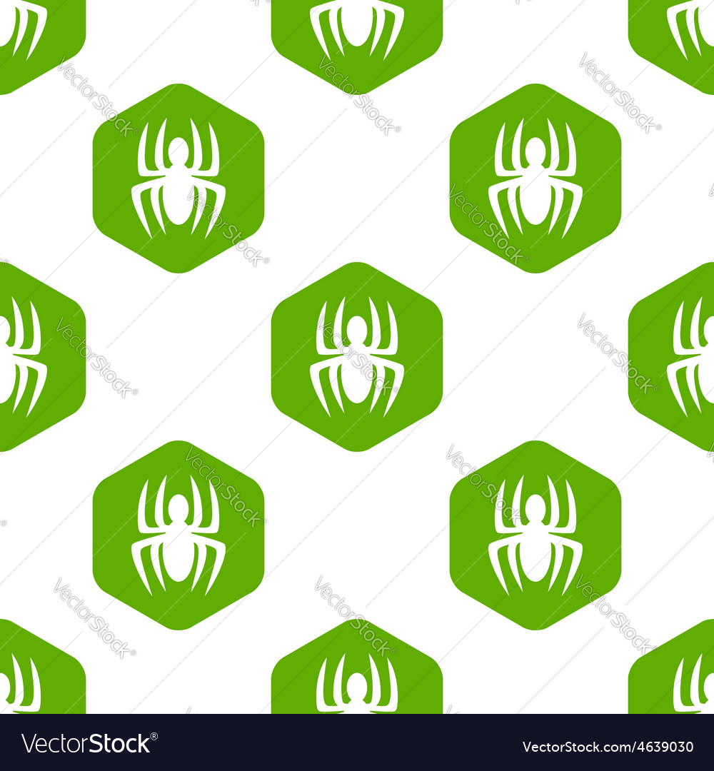 Spider pattern Royalty Free Vector Image - VectorStock